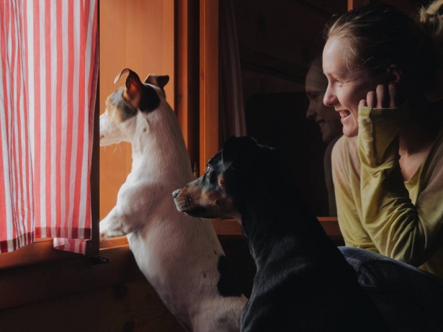 Happyland For Pets – Hunde- & Assistenzhunde-Training